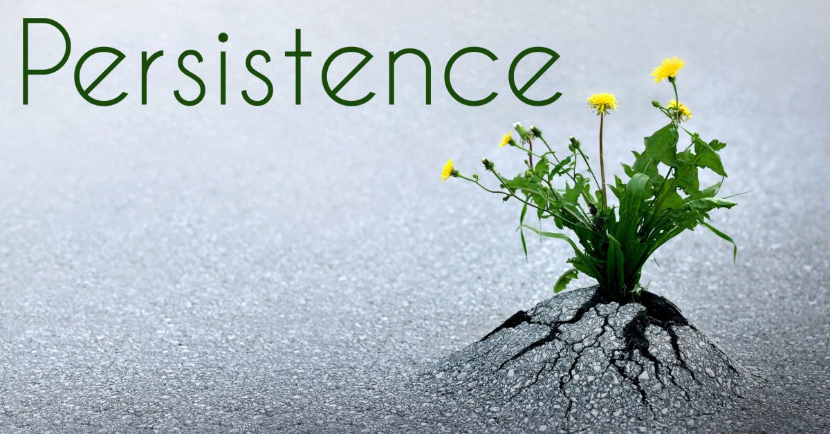 SUCCEED THROUGH PERSISTENCE | LEADER INFLUENCE